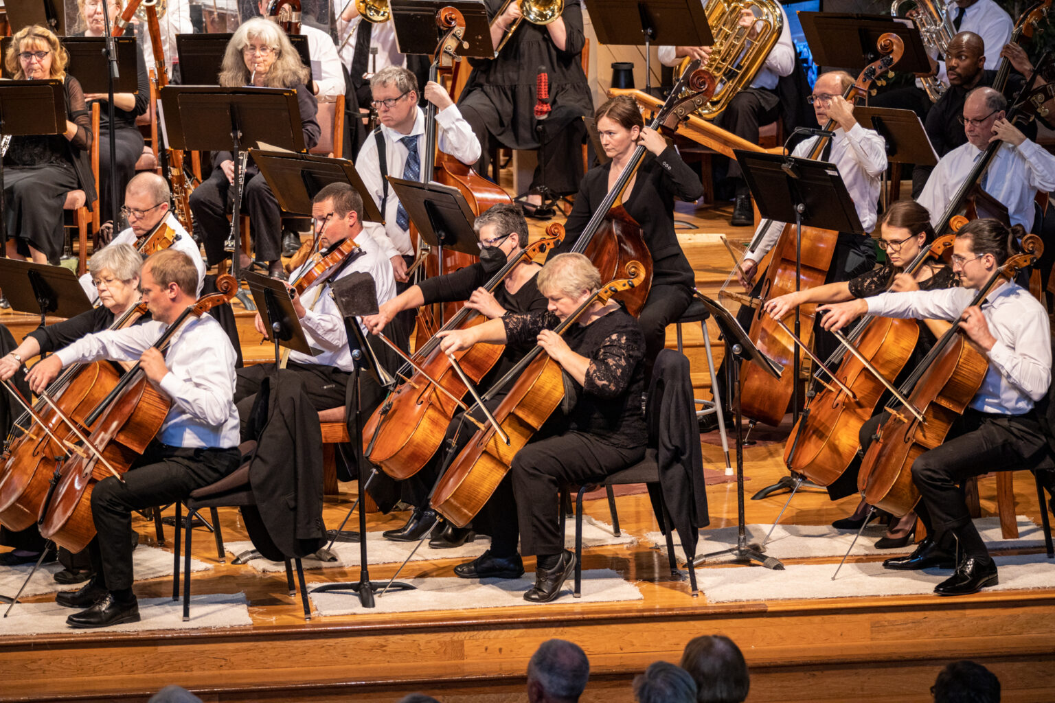Discount Student Tickets - Hilton Head Symphony Orchestra